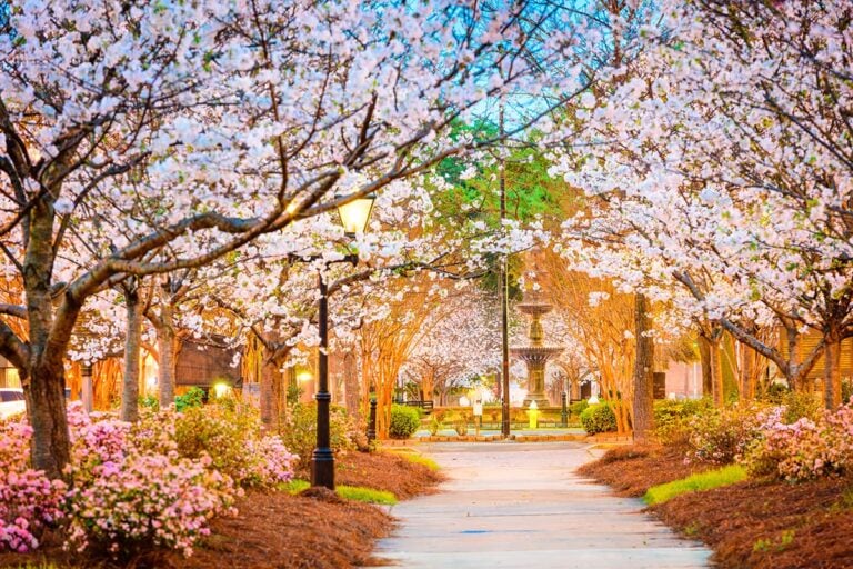 38 Best Warm Places to Visit in March in the USA [2025]