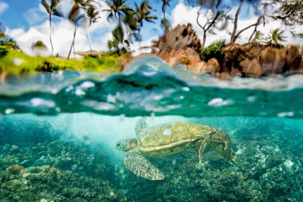 31 Best Warm Winter Vacations in the USA: Magical Getaways!