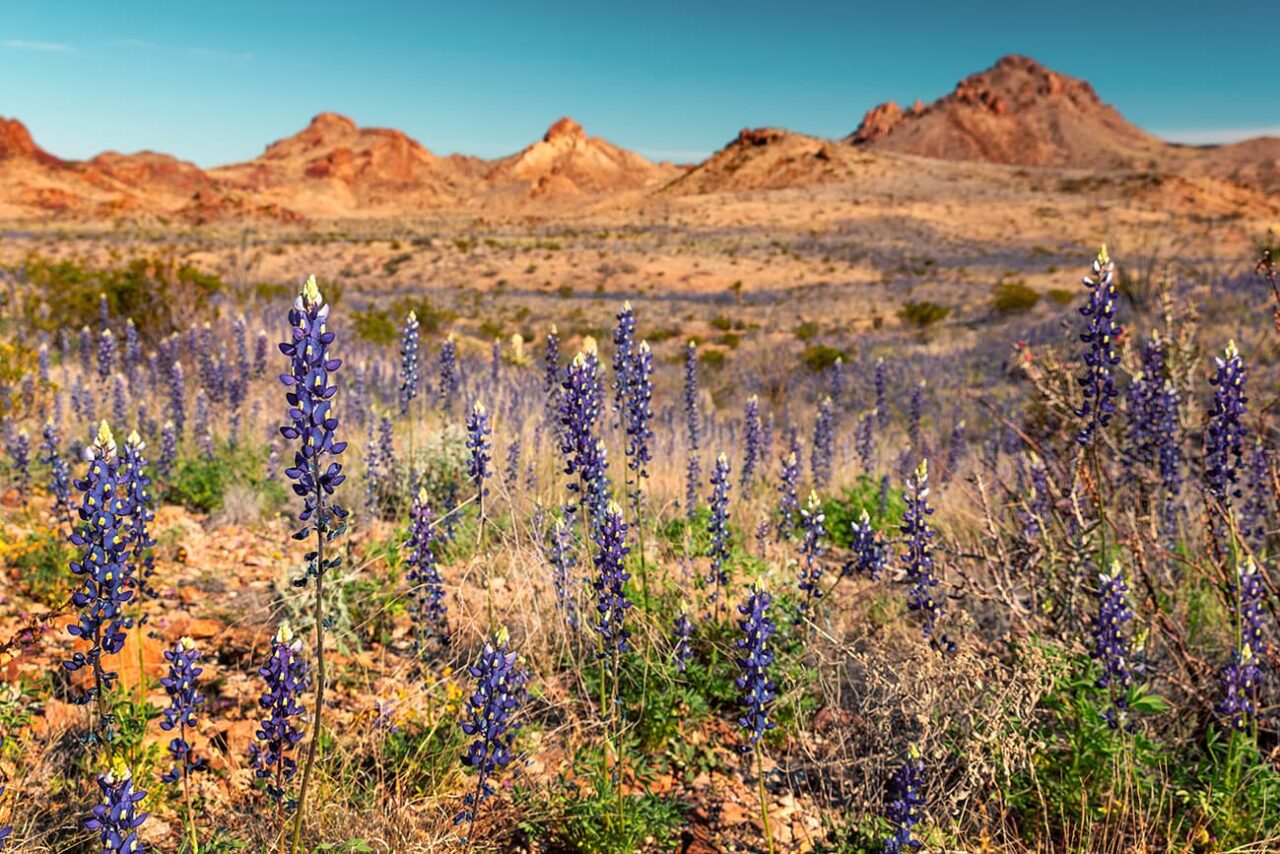 40+ Best Warm Places to Visit in October in USA [2025]