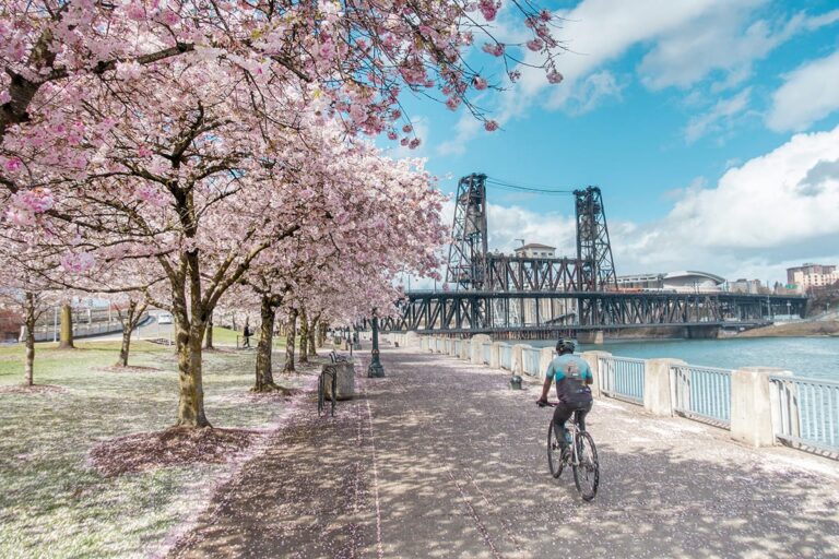 40+ Best Warm Places to Visit in April in the USA [2024]