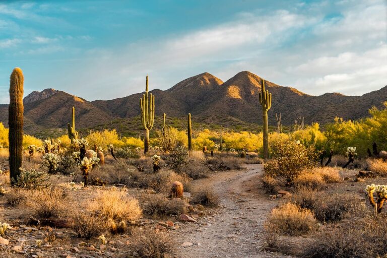 40 Best Warm Places to Visit in December in USA [2025]
