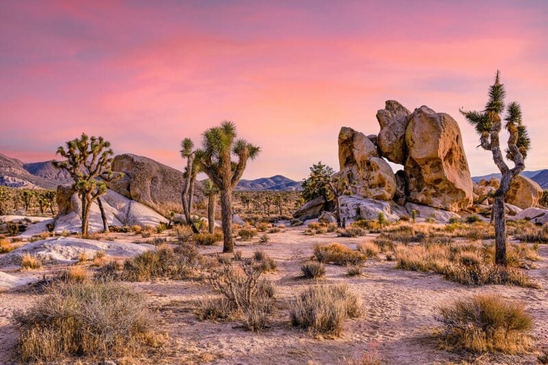 40 Best Warm Places to Visit in December in USA [2025]
