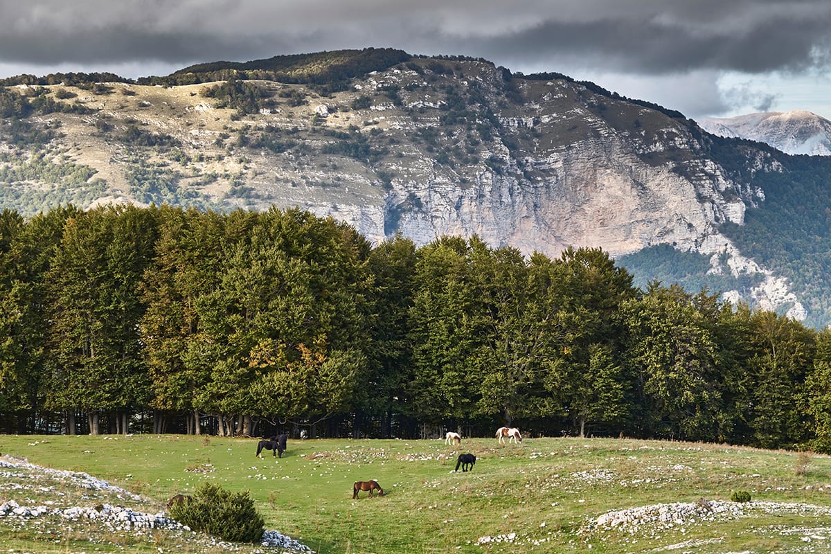 27 BEST Day Trips From Rome, Italy (+ How to Get There!)